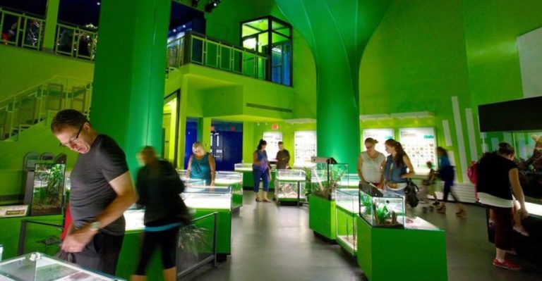 Montreal Insectarium | Zoologicals in Montreal